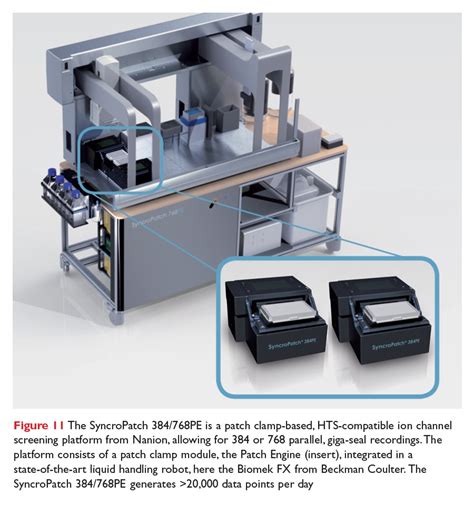 Automated Patch Clamping Finally Achieves High Throughput Drug Discovery World Ddw