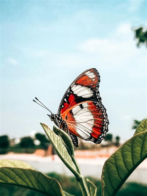 Umang Patel Photography