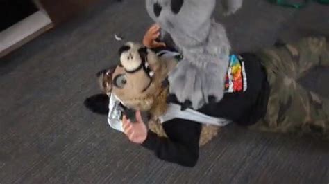 Rough Fursuit Stomping