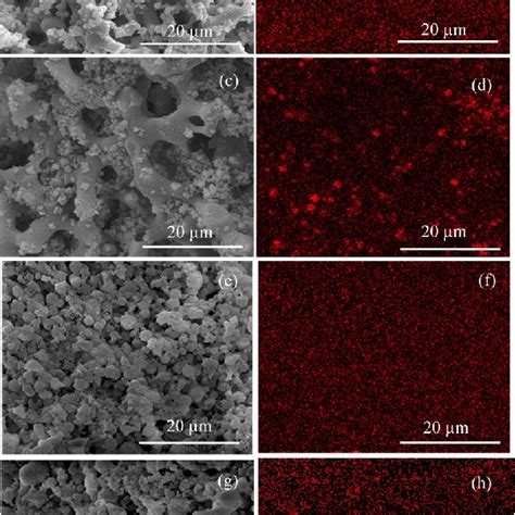 Sem And Semeds Images With Chemical Mapping Of Copper On Copper