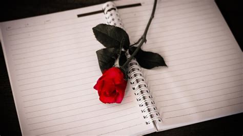 Unlocking Desire A Deep Dive Into The World Of Sexnote