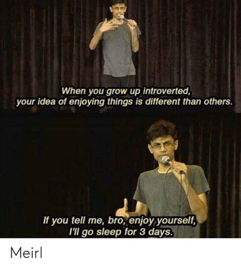 278 Best R Introvertmemes Images On Pholder Extroverted Introvert