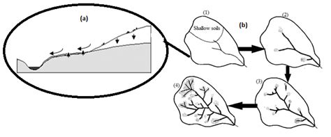4 Simplified Descriptions Of Saturation Excess Overland Flow A And