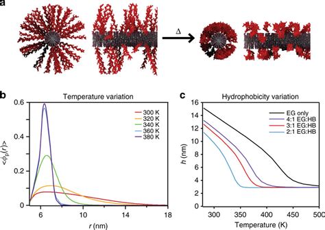 Confinement Of Polymer Chains A Schematic Representation Of