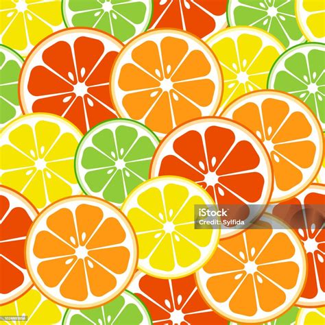 감귤 완벽 한 패턴입니다 슬라이스 레몬 오렌지 자 몽 라임 벡터 일러스트 레이 션 0명에 대한 스톡 벡터 아트 및 기타 이미지 0명 감귤류 과일 개념 Istock