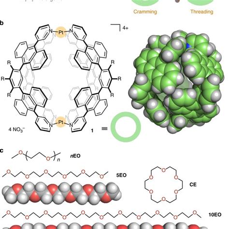 Design And Components For The Formation Of Hostguest Complexes With Download Scientific