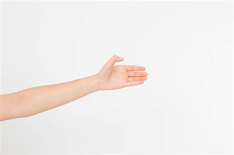 흰색 배경 위에 분리 된 백인 손 제스처로 크기 기호를 표시합니다 아프로 아메리칸 핸드 조롱 공간을 복사합니다 템플릿 빈