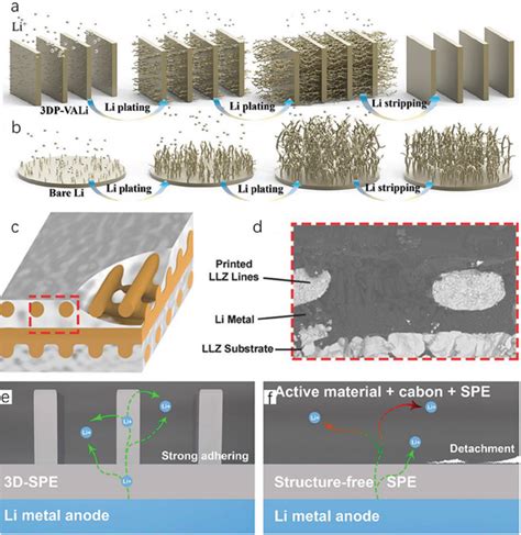 Schematics Of Li Plating‐stripping Process For A 3dp‐vali And B Bare Download Scientific
