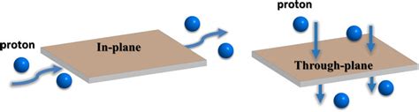 Schematic Of In Plane And Through Plane Proton Transference Download