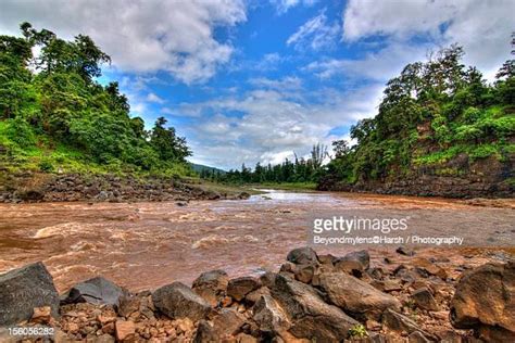 Guja Photos and Premium High Res Pictures - Getty Images