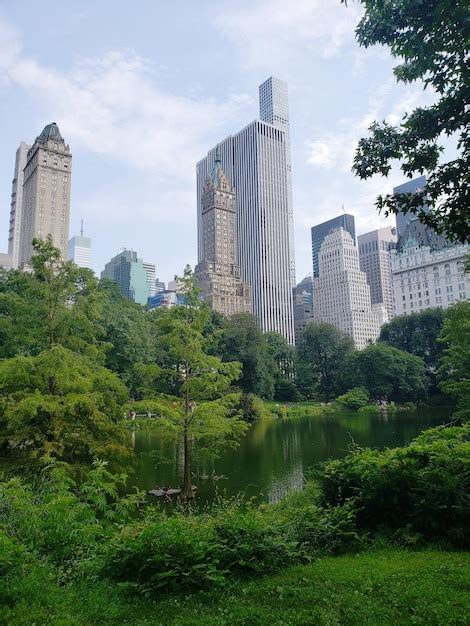 Premium Photo Trees And Buildings Against Sky