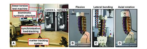 A The Experimental Setup Used To Perform The Tests B The