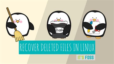 How To Recover Deleted Files In Linux Beginner S Guide