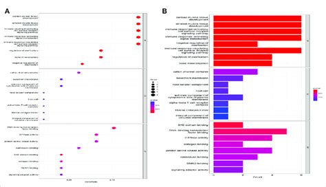 Results Of Go Analysis A Bubble Diagram B Bar Graph Download Scientific Diagram
