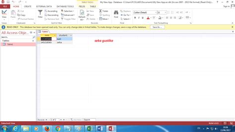 Mass Akha Tutorial Importing Data From Access Into Excel