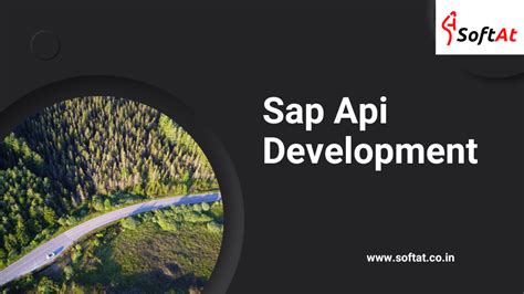 Sap Api Development Bridging The Digital Divide