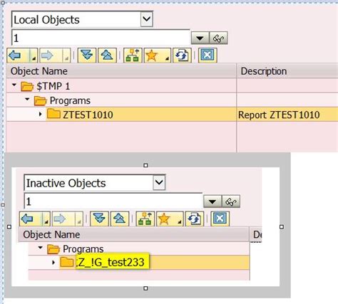 Solved Inactive Objects With Exclamation Mark Can Not Be Sap