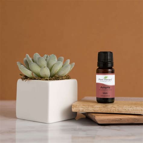 Amyris Essential Oil Plant Therapy