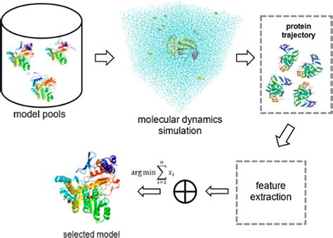 Protein Structure Using Molecular Dynamics Simulations At Andrew York Blog