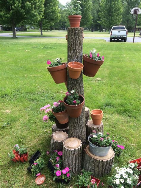 Flower Pot Tree Stump Jardim Plantas