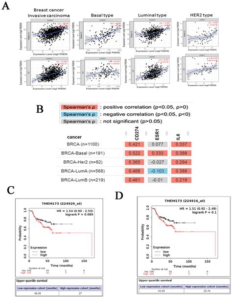 Sting Expression Positively Correlates With Il6 And Pd L1 Expression