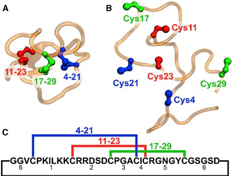 Table 1 From Disulfide Bridges Bringing Together Frustrated Structure In A Bioactive Peptide