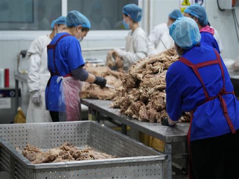 УЛСЫН ХЭМЖЭЭНД МАХНЫ ҮЙЛДВЭРҮҮДЭД ХЯНАЛТ ШАЛГАЛТ ХИЙЖ АТТЕСТАТЧИЛНА ТАС МН