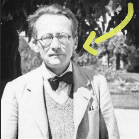 Understand Schrödingers Equation Girls In Quantum