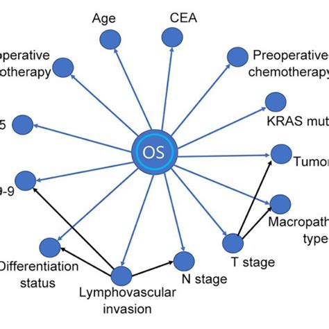 a bayesian network bn model for prognostic factors of the training