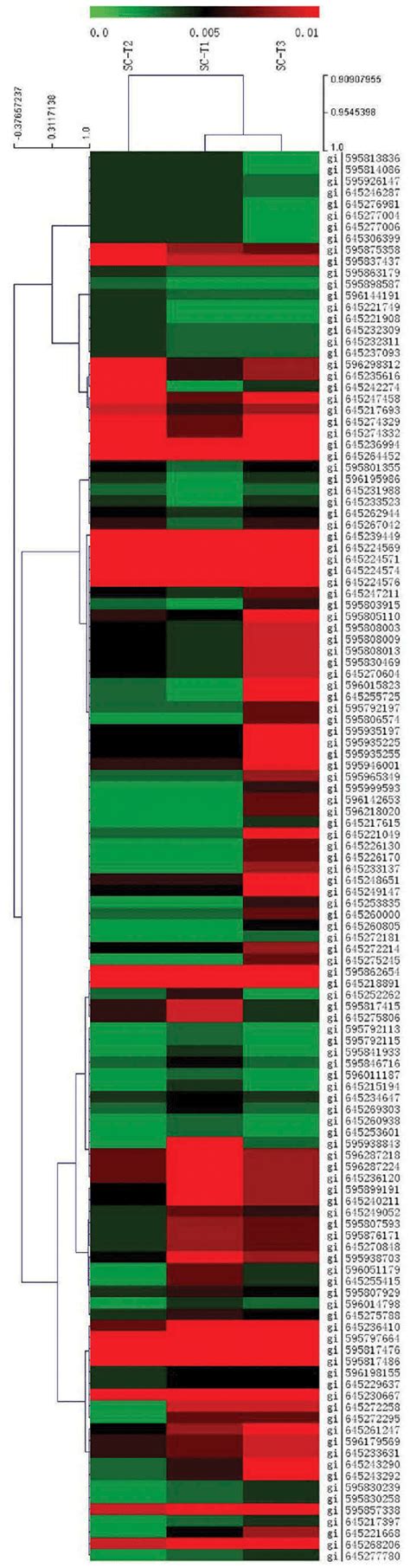 Hierarchical Clustering Analysis Of The 128 Proteins Differentially Download Scientific Diagram