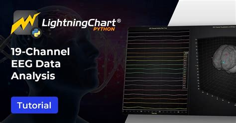 eeg data analysis lightningchart® data visualization tools