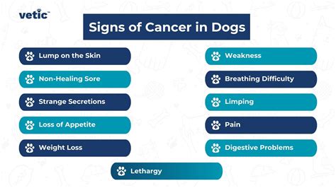 Is Skin Cancer Curable In Dogs
