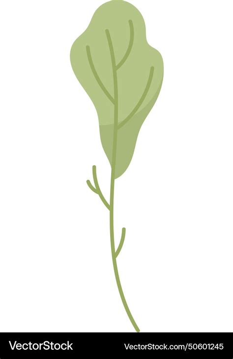 Plant Leaf Icon Royalty Free Vector Image Vectorstock