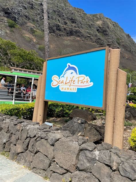 Sealife Park Jasmine