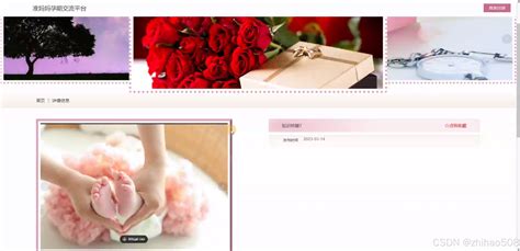 基于pythonflask框架的准妈妈孕期交流平台（开题程序论文） 计算机毕设 Csdn博客