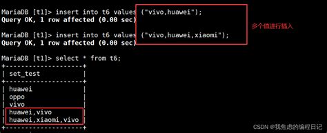 MySQL数据类型 数据类型为ds bl CSDN博客