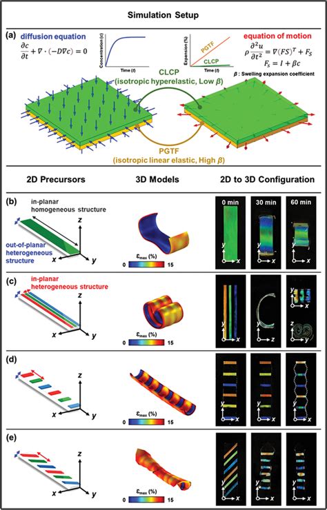 Finite Element Simulation Setup For The Transformation From 2d To 3d Download Scientific
