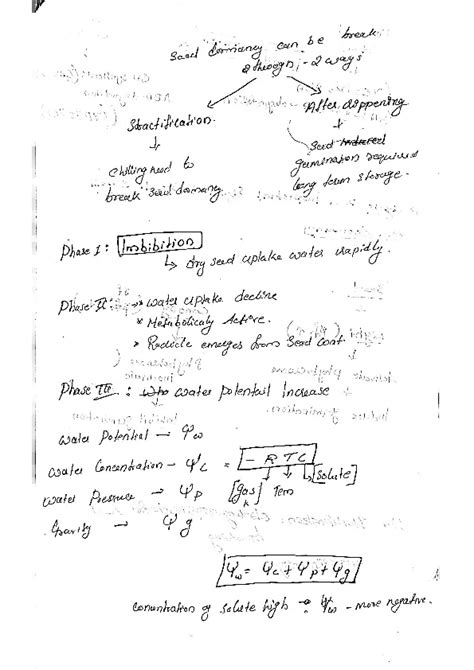 Methods To Break Seed Dormancy Edubirdie
