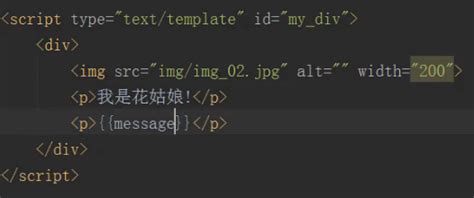 Vuejs基础教程之template和script标签 高防服务器租用提供商东方网域
