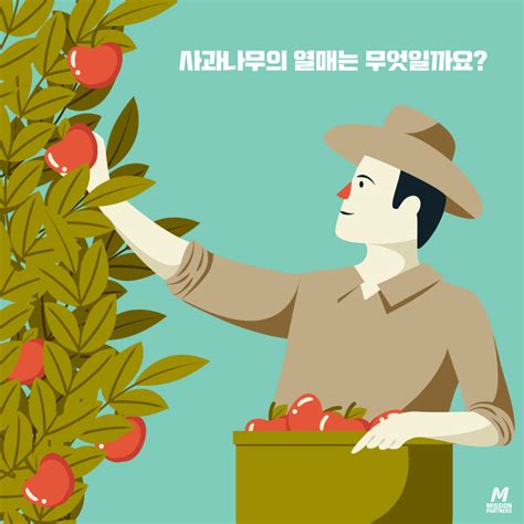 미션파트너스 퍼스펙티브스 하나님 나라에서 사과나무의 열매는 또 다른 사과나무 입니다🍎🌳 우리가 Facebook
