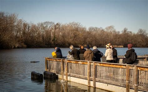 Freshwater Mussel Propagation Program Sierra Club