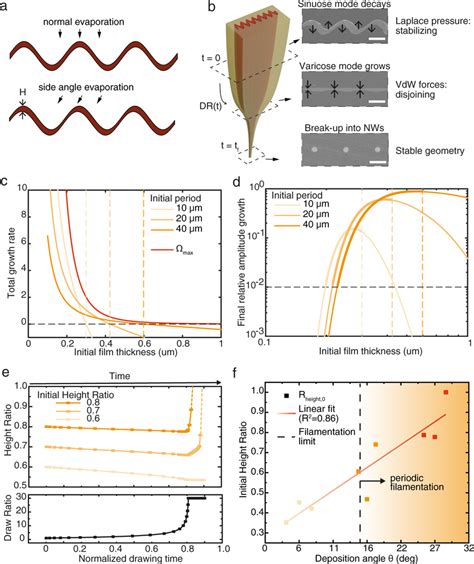 filamentation models linear theory numerical simulation and