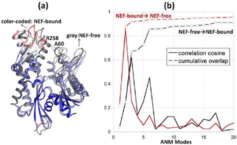 Comparison Of Experimentally Observed And Computationally Predicted