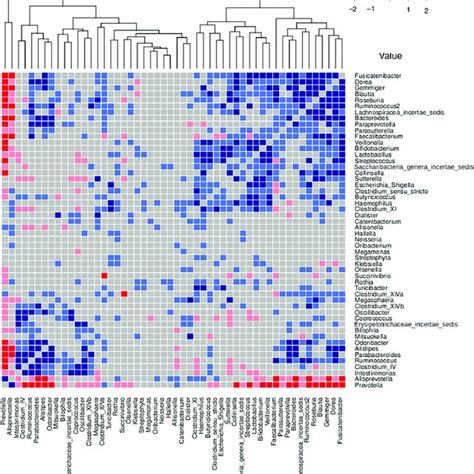 Heat Map Representing Pearson Correlation Values Between Various Genera