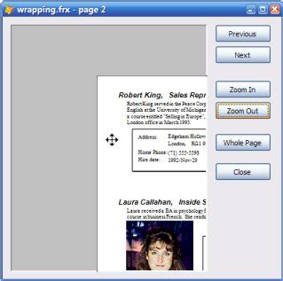 Techniques For An Alternative Report Preview UI