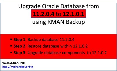 Featuredimage Wadhah Daouehi