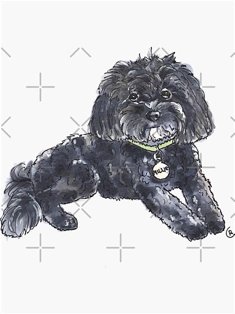 Black Cockapoo Illustration Sticker For Sale By Rita Andi Redbubble