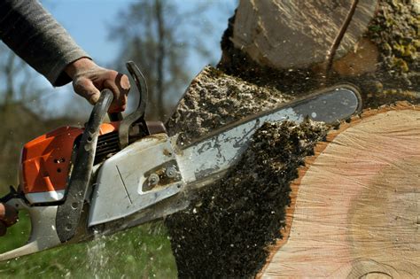 What To Know Before Buying A Chainsaw Blain S Farm Fleet Blog