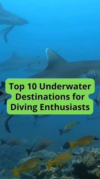 Top 10 Underwater Destinations For Diving Enthusiasts Youtube