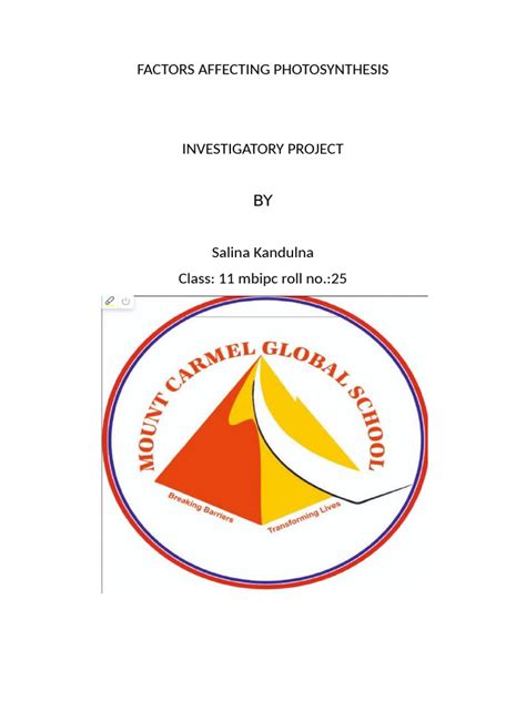 Factors Affecting Photosynthesis Pdf Electromagnetic Spectrum Electromagnetic Radiation